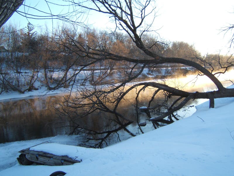 Spring hope stock photo. Image of fish, early, nature - 4618498