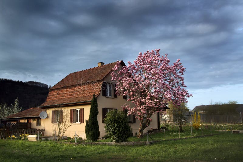 Spring house stock image. Image of arrangement, villa - 19105045