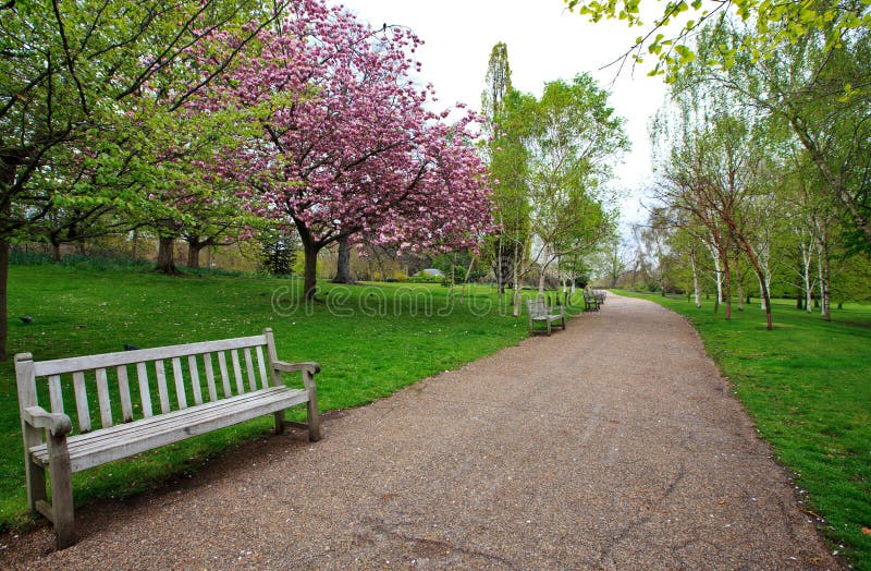 Spring in Hyde Park, London Stock Image - Image of park, vacation: 25028479