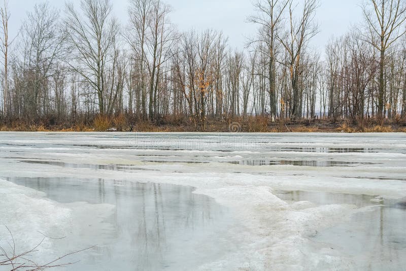 Spring Ice Drift and Melting Ice on the River. High Water Stock Photo ...