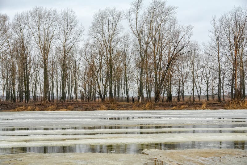 Spring Ice Drift and Melting Ice on the River. High Water Stock Image ...