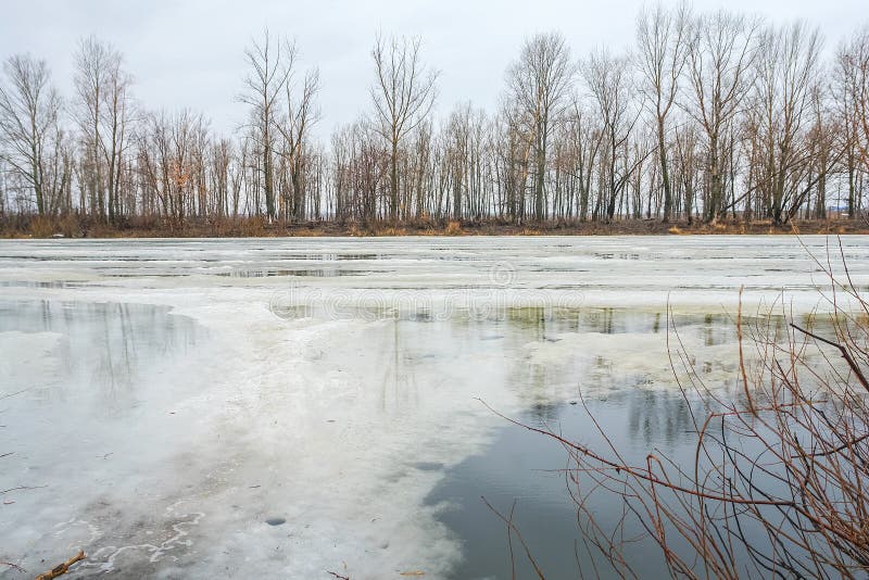 Spring Ice Drift and Melting Ice on the River. High Water Stock Image ...