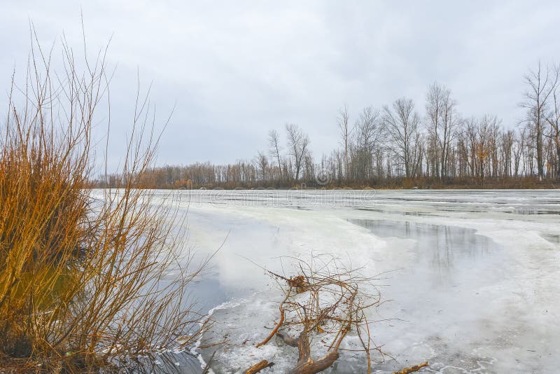 Spring Ice Drift and Melting Ice on the River. High Water Stock Image ...