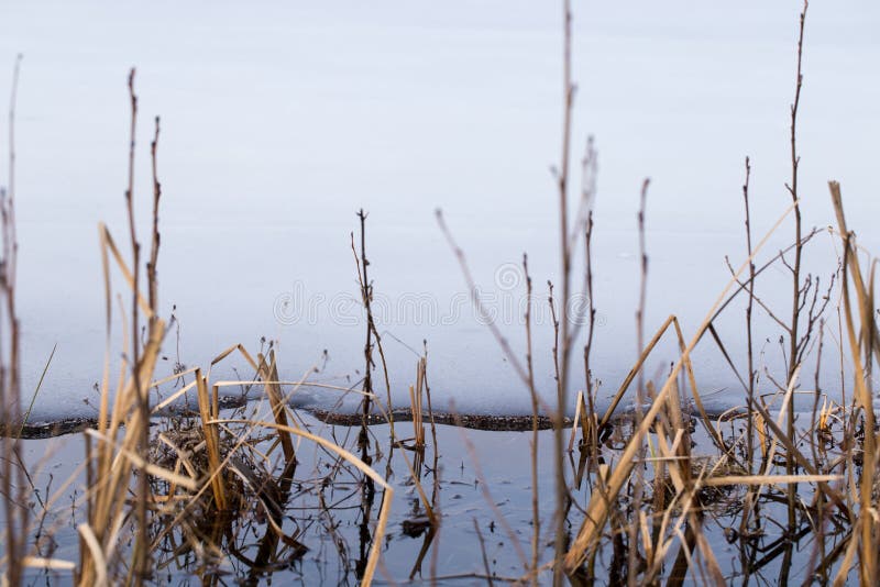 Spring Ice at the Edge of the Reservoir Stock Photo - Image of melt ...