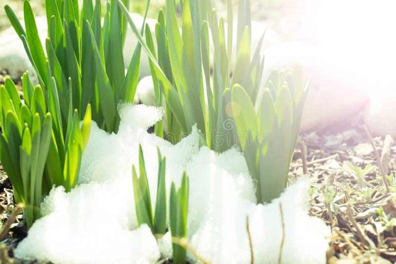 Spring ice frozen stock image. Image of hoarfrost, beautiful - 36438513