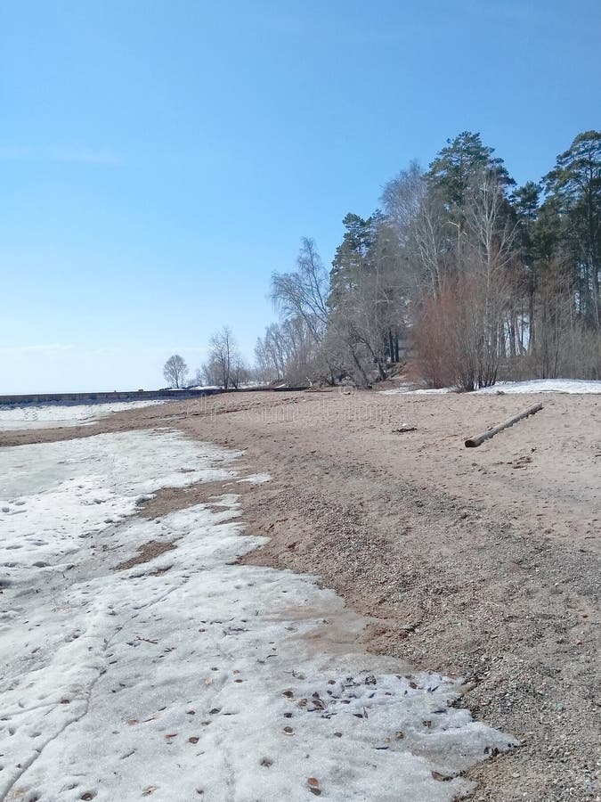 Spring ice on the sea stock photo. Image of spring, trees - 91979768