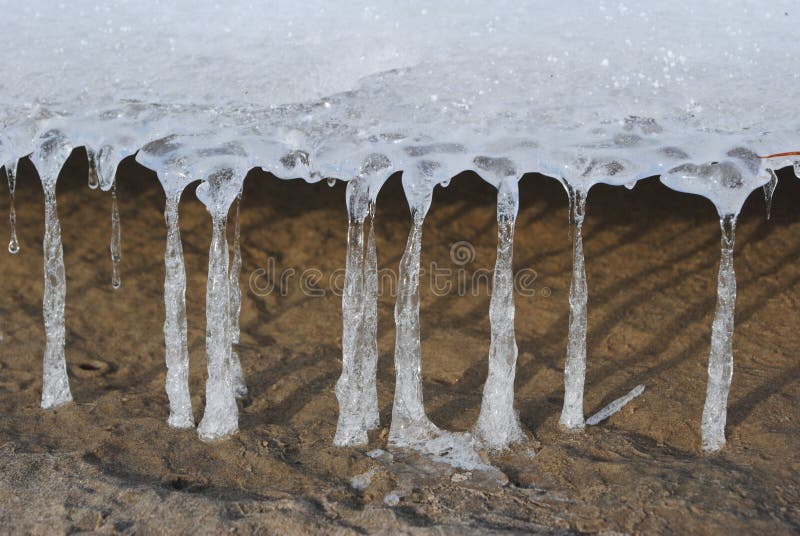 Spring icy beachfront stock image. Image of pine, daylight - 39690671