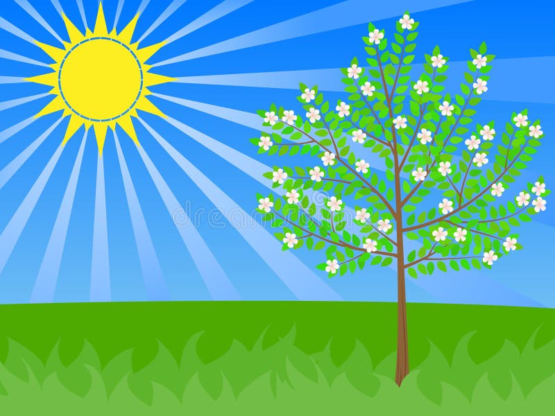 Spring sun and flowers stock vector. Illustration of pink - 18968165