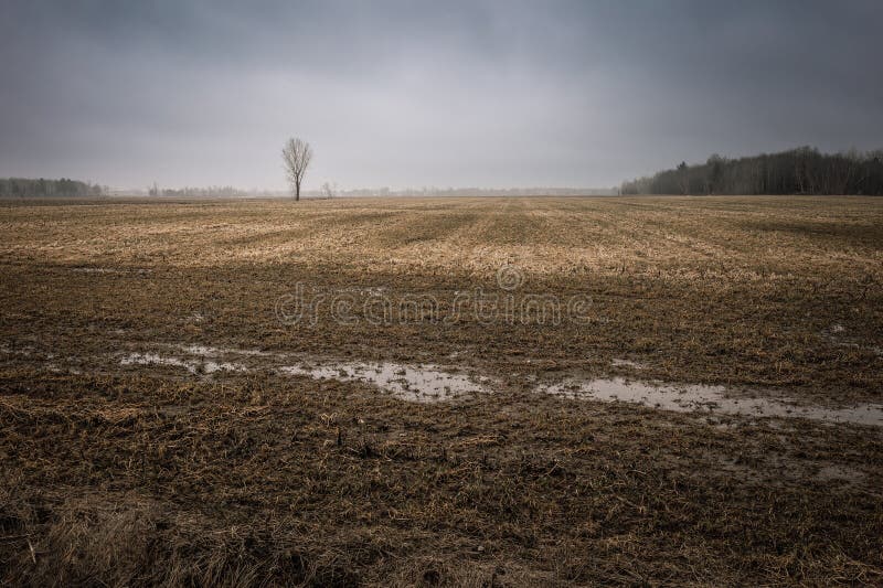 Spring Image of Rural Area in Canada Stock Photo - Image of blue ...