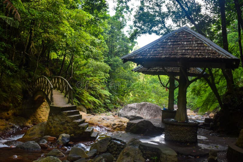 A spring inside the forest stock image. Image of rocks - 121707065