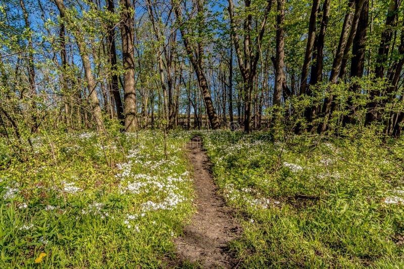 Spring in Iowa stock photo. Image of land, agricultural - 71060788