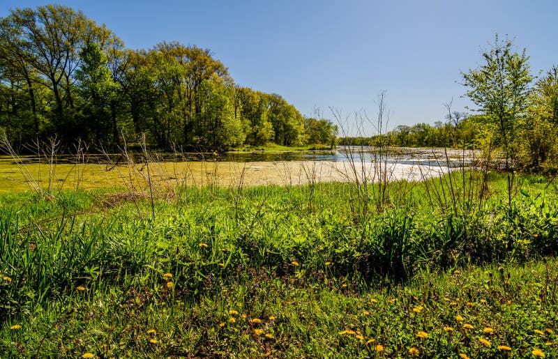 Spring in Iowa stock image. Image of farm, green, grass - 71151411