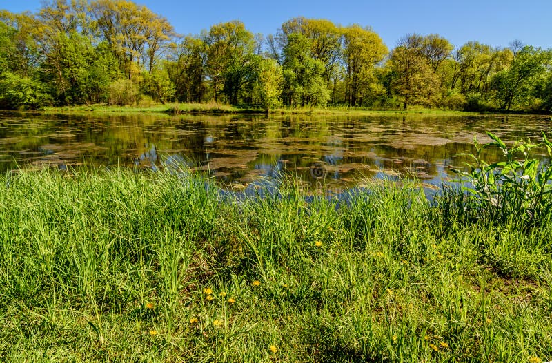 Spring in Iowa stock photo. Image of lawn, blue, midwest - 71060794