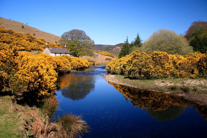 Spring in Ireland stock photo. Image of landscape, glendalough - 5185652
