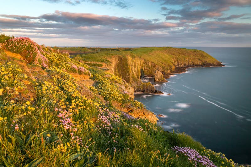 Spring in Ireland stock photo. Image of ireland, flower - 100018166