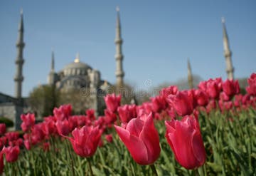 Spring in Istanbul stock image. Image of istanbul, antique - 9206961