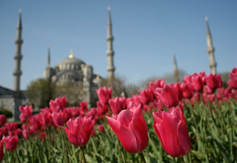Spring in Istanbul stock image. Image of istanbul, antique - 9206961