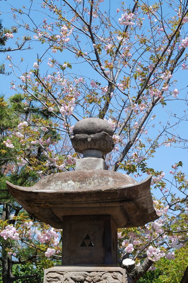 Spring in Japan stock photo. Image of lantern, vertical - 12740952