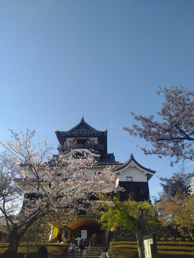 Spring in japan editorial stock image. Image of clean - 274195429
