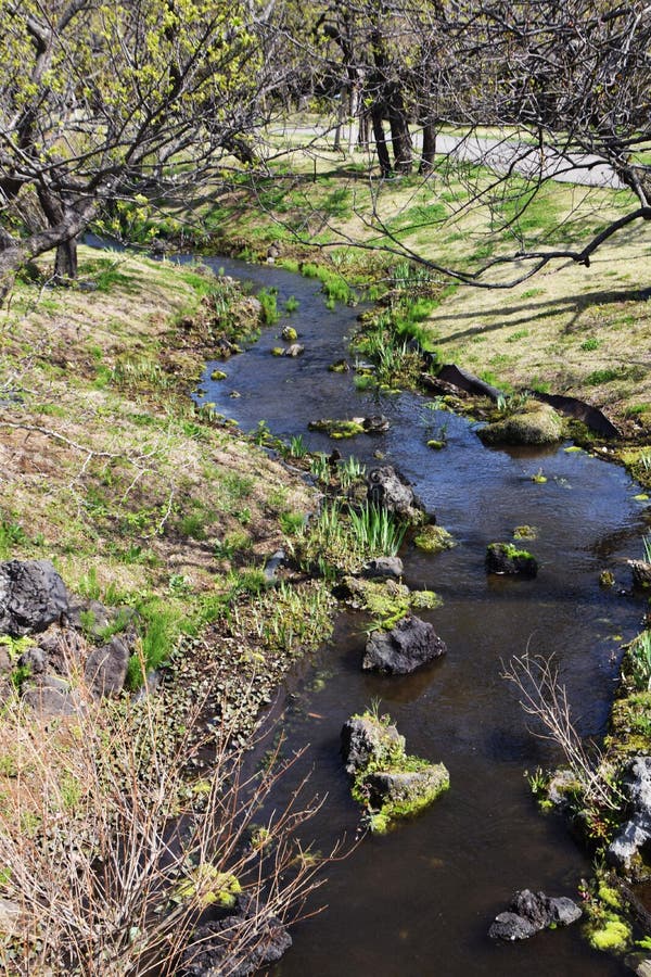 Spring of Japan Natural Park Stock Image - Image of japan, national ...