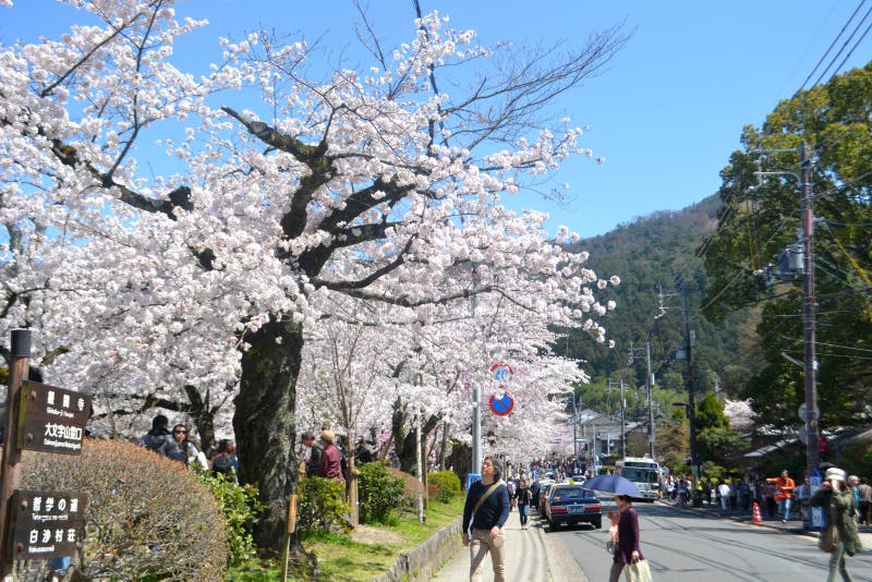 Spring in Japan editorial stock image. Image of life - 52661089