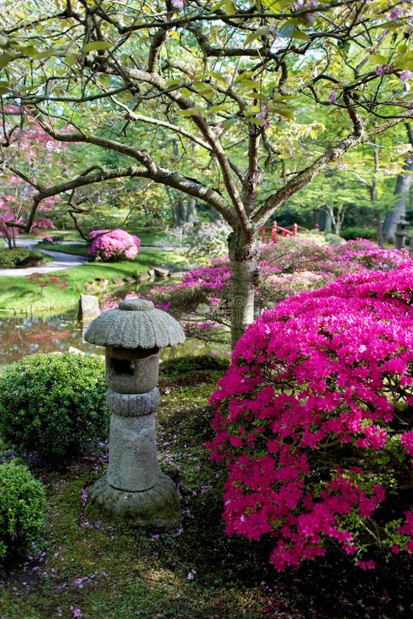 Spring in Japanese park stock image. Image of exoticism - 5179815