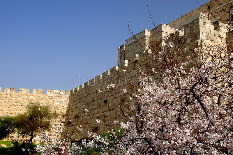 Spring in Jerusalem stock image. Image of spring, wall - 1327457