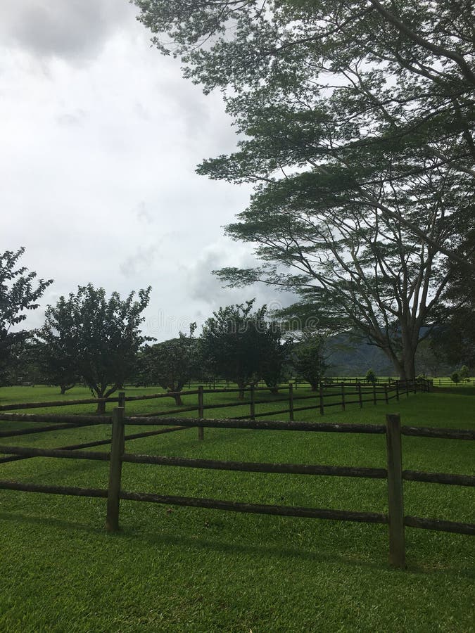 Spring on Kauai Island, Hawaii. Stock Image - Image of mountains ...