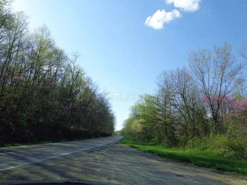 Spring in kentucky stock image. Image of kentucky, blooming - 110007195