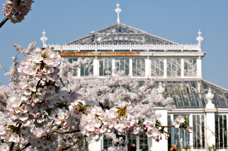 Spring In Kew Gardens, UK Picture. Image: 3048588