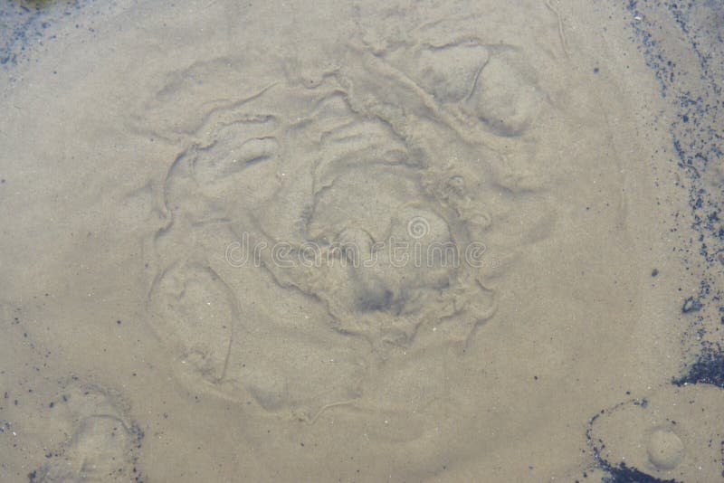 The Spring Key of Clean Water Hits from Under the Sand Stock Image ...