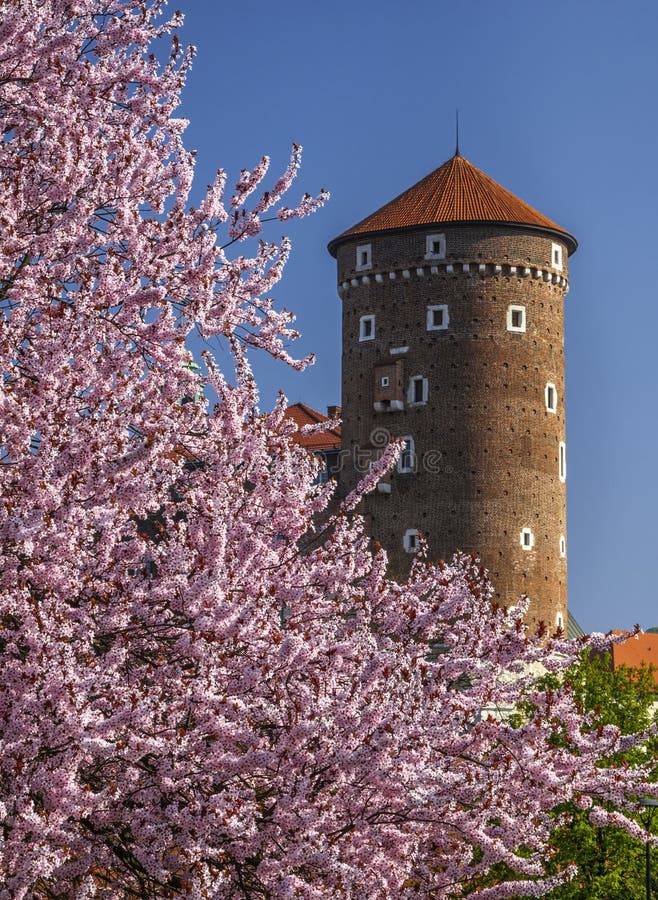 Tower of the Wawel Castle in Flowers, Krakow, Poland Stock Image ...