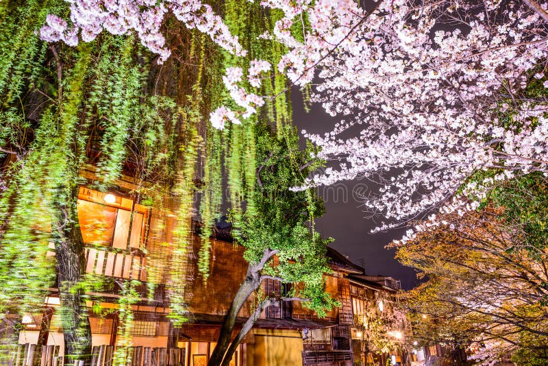 Spring in Kyoto, Japan stock photo. Image of downtown - 49923978