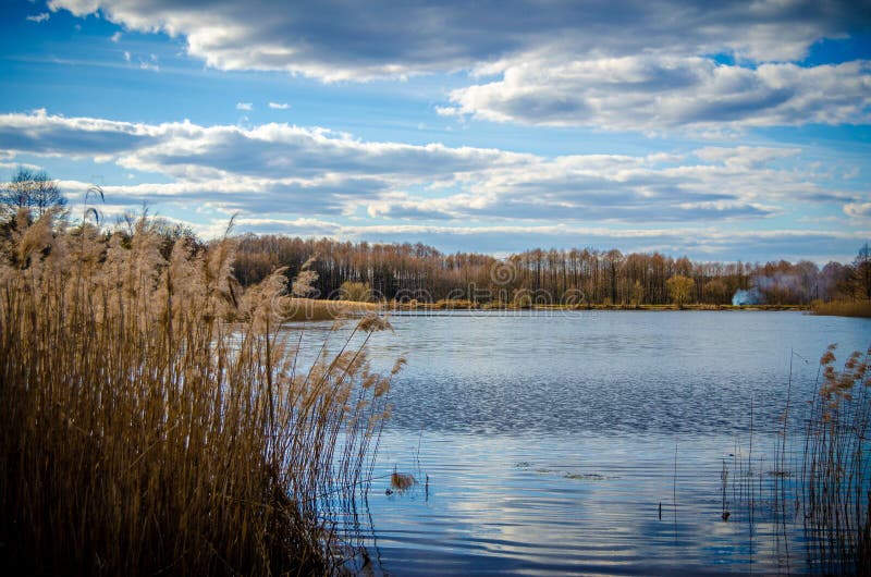 The spring lake stock photo. Image of lake, spring, water - 217031448