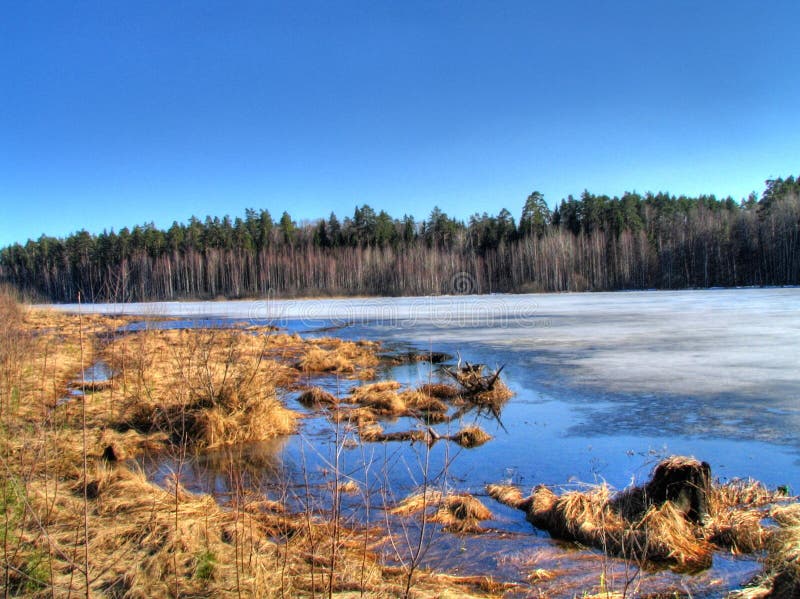 Spring lake stock image. Image of beauty, russia, colors - 3235731