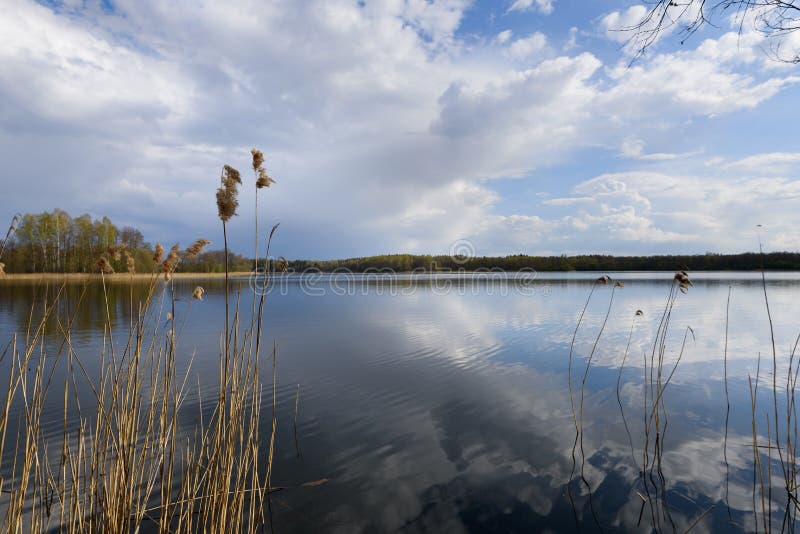 Spring lake stock image. Image of lake, spring, freshness - 78887075