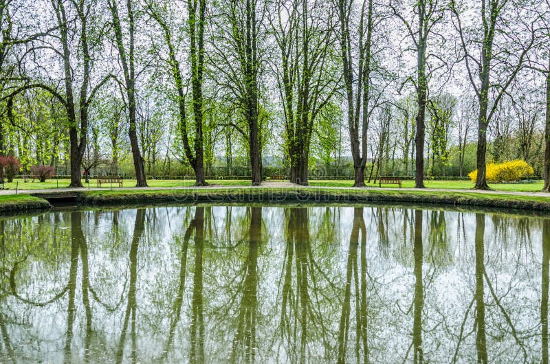 Spring lake, green trees stock image. Image of deep, reflection - 30536593