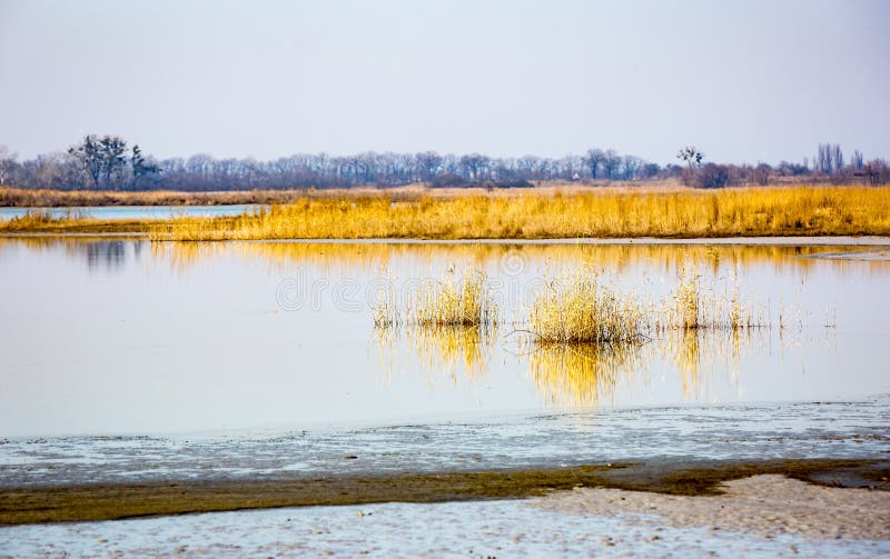Spring on lake stock photo. Image of river, nature, spring - 89024624