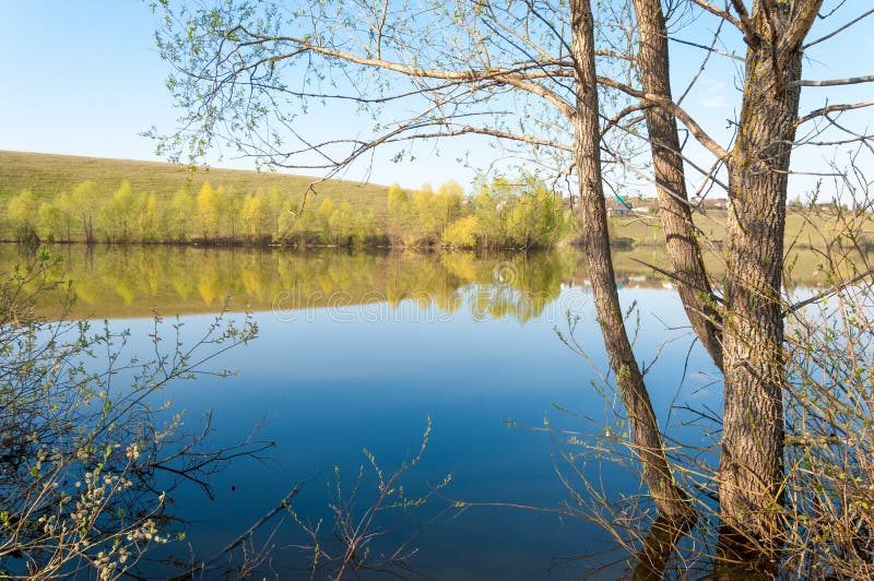 Spring Lake. Pond spring stock photo. Image of spring - 122723208