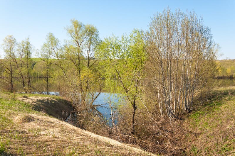 Spring Lake. Pond spring stock image. Image of shore - 122723235