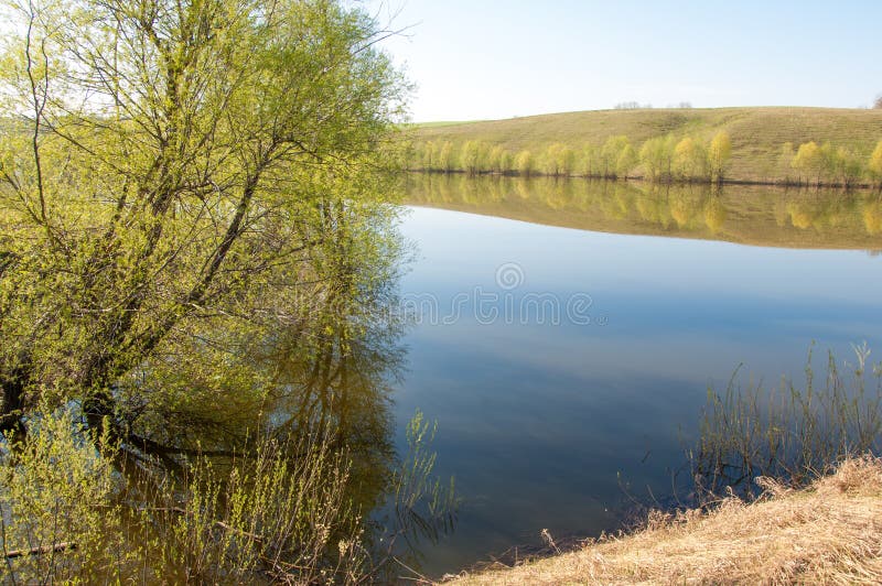 Spring Lake. Pond spring stock image. Image of season - 122723385