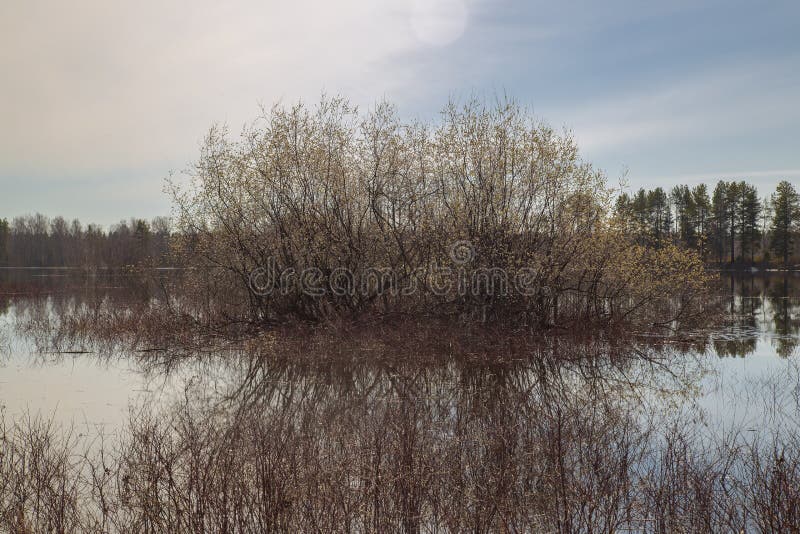 Spring on the Lake. Spill in the Spring Stock Image - Image of ...