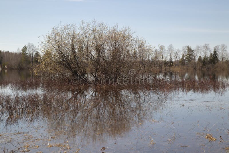 Spring on the Lake. Spill in the Spring Stock Image - Image of flow ...