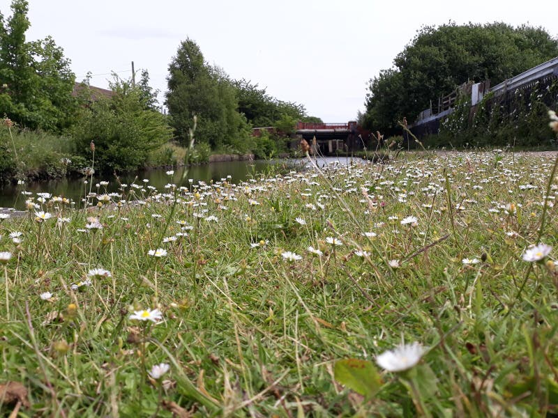 Spring Lake View with Vegetation Stock Photo - Image of garden, lake ...