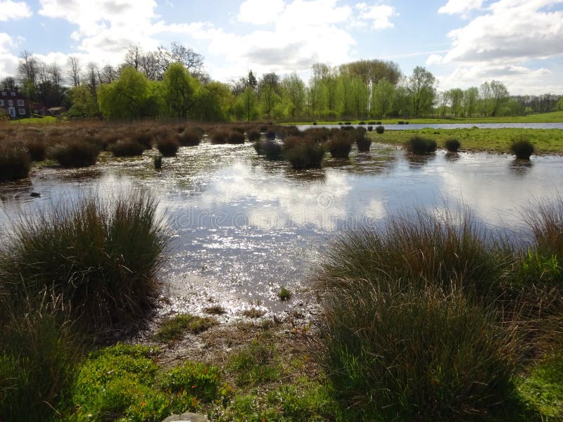 Spring Lakeside stock photo. Image of nature, cloudpatched - 90285526