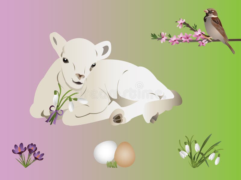Spring lamb cartoon stock illustration. Illustration of animal - 14509341