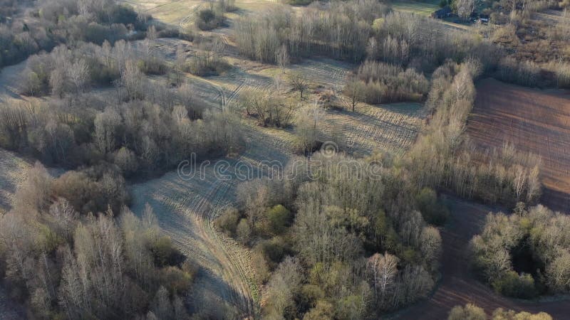 Spring Land in Nature Park with Groves and Fields, Aerial Stock Footage ...