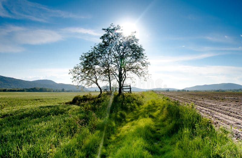 Spring landscape stock photo. Image of countryside, colorful - 17793894