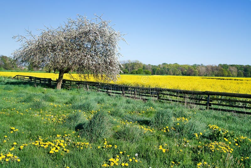 Spring landscape stock image. Image of sunlight, autumn - 2227437
