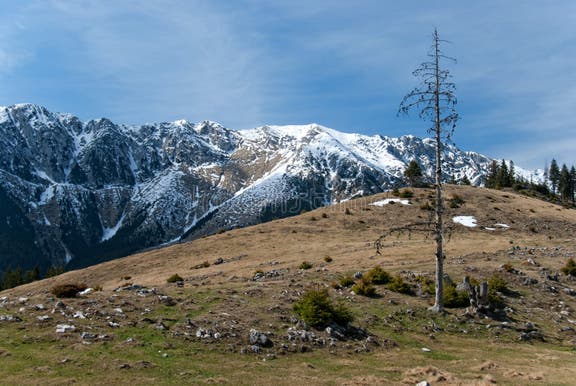 Spring landscape stock image. Image of hillside, path - 19300485